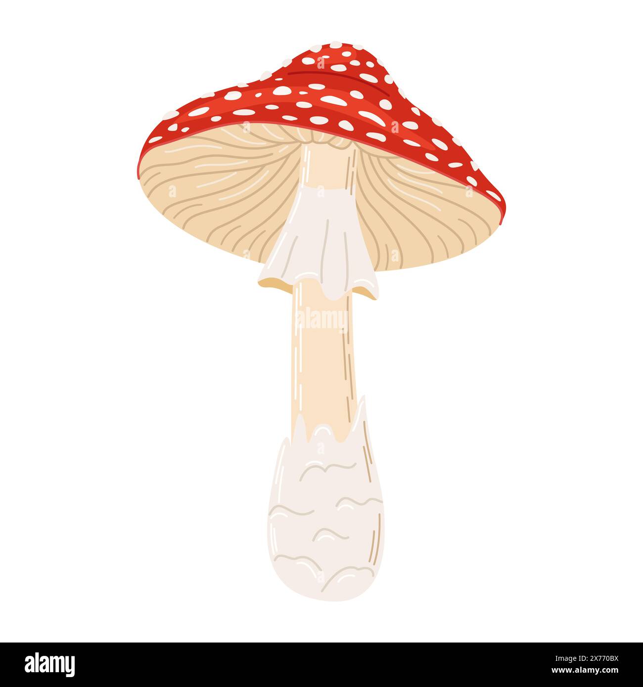 Fliegen Sie den roten Giftpilz. Handgezeichnete Amanita muscaria ...