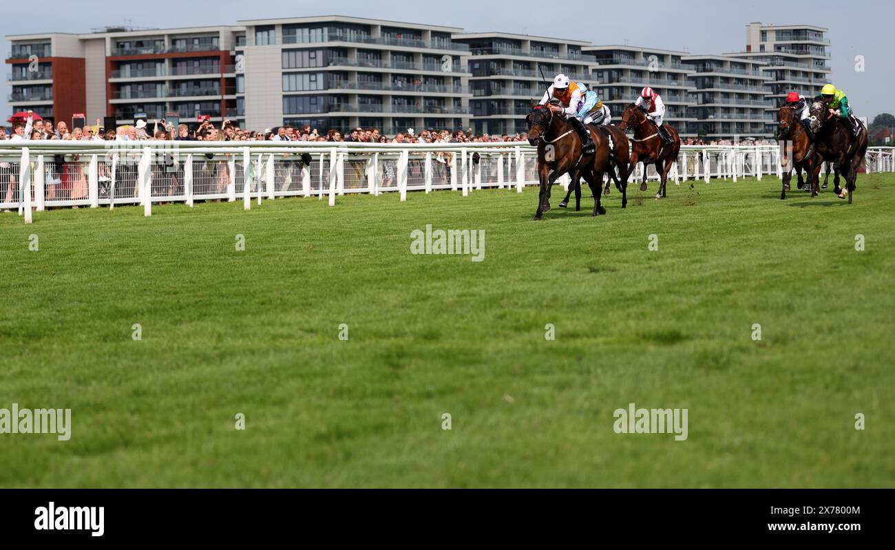 Lethal Levi (links) wurde von Jockey Clifford Lee auf dem Weg zum Sieg des HKJC World Pool ...