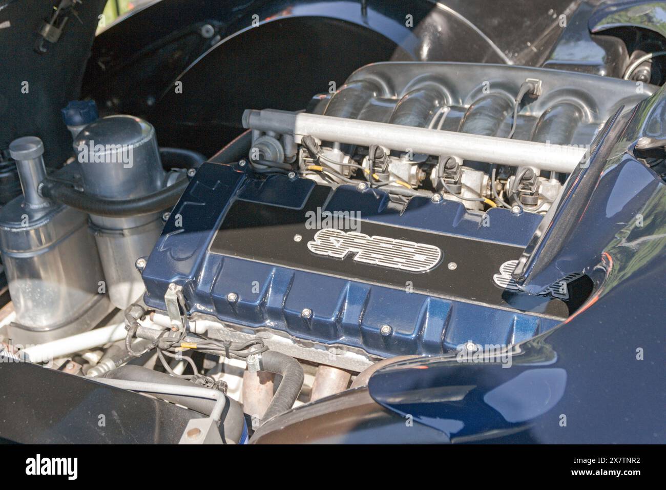 TVR toskanischer Motor. Lytham Hall Classic Car Show 2024 Stockfotografie - Alamy