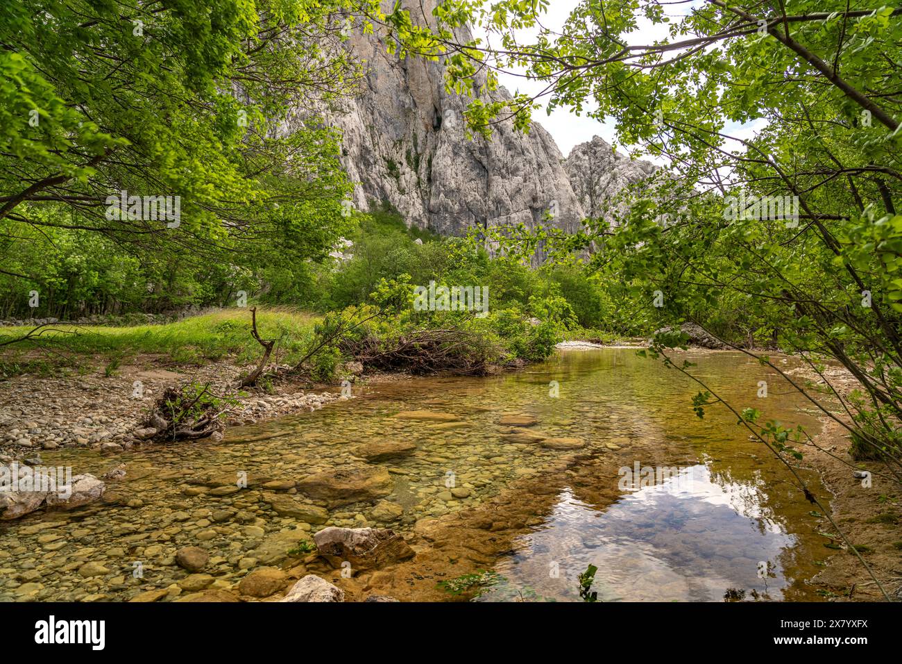 Nationalpark Paklenica Bach in der Schlucht Velika Paklenica im ...