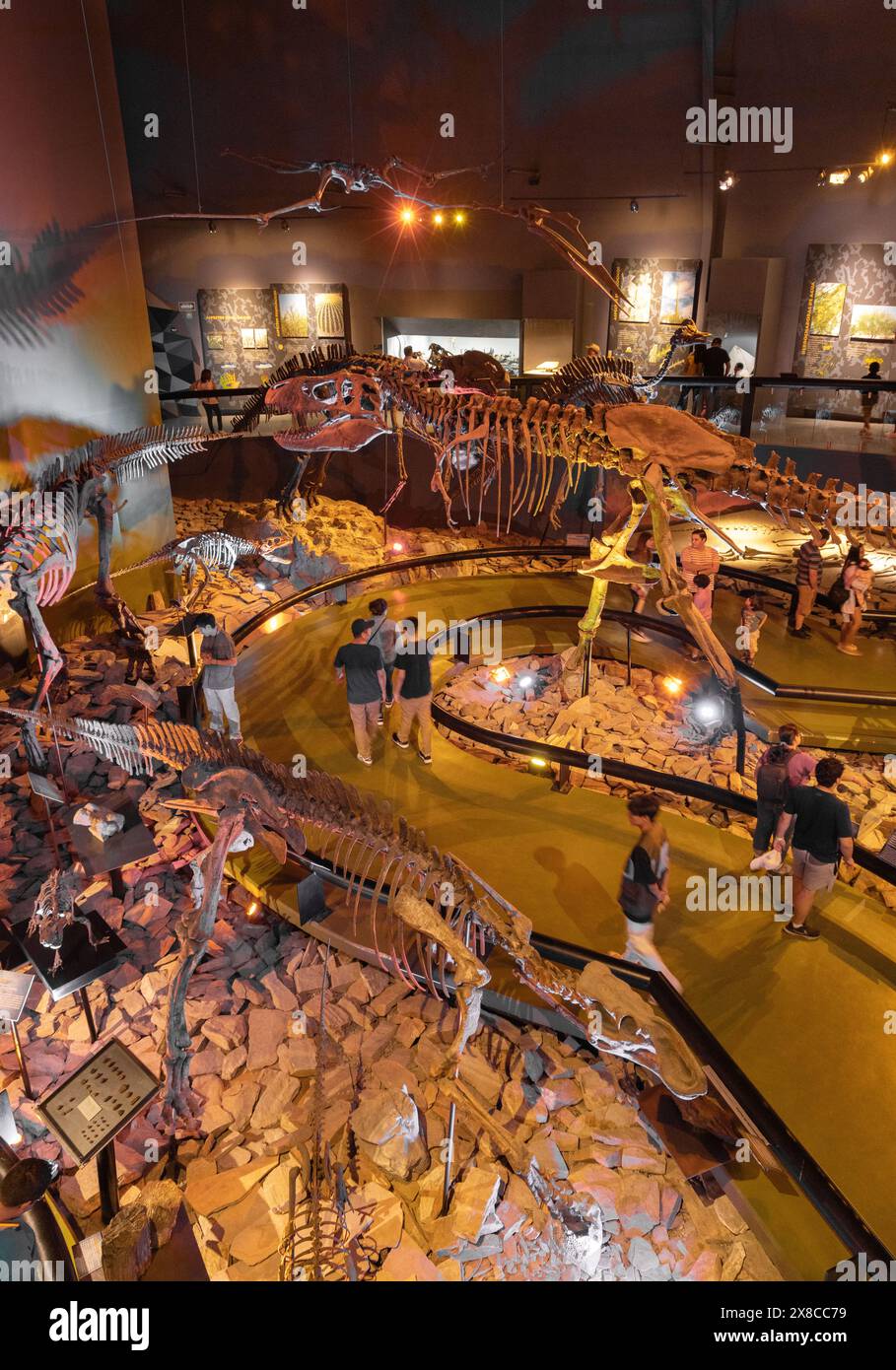 Menschen, die Dinosaurier betrachten - Fossilien, Skelette und Knochen ...