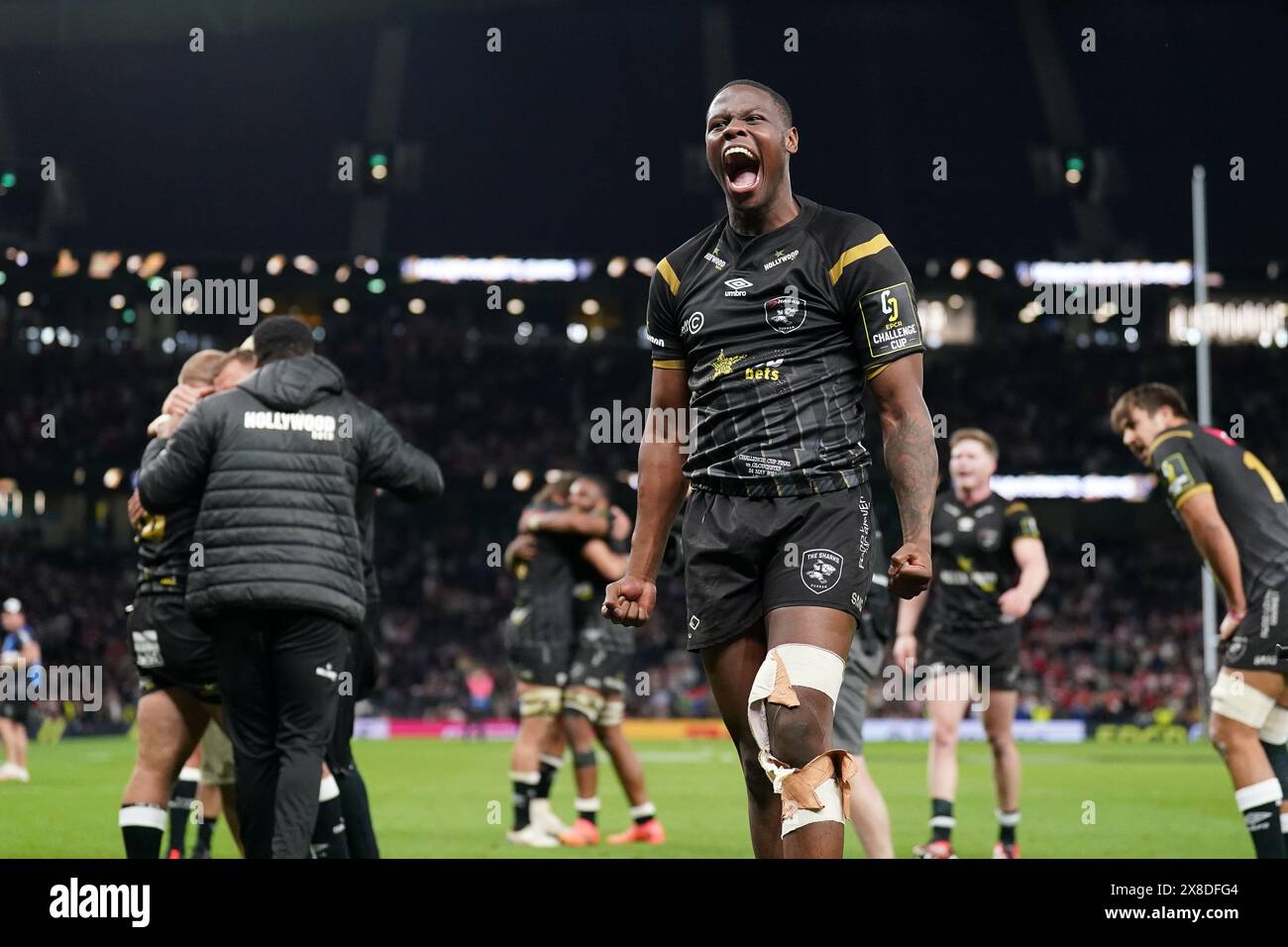 Aphelele Fassi von Hollywoodbet Sharks feiert nach dem Sieg im Finale ...