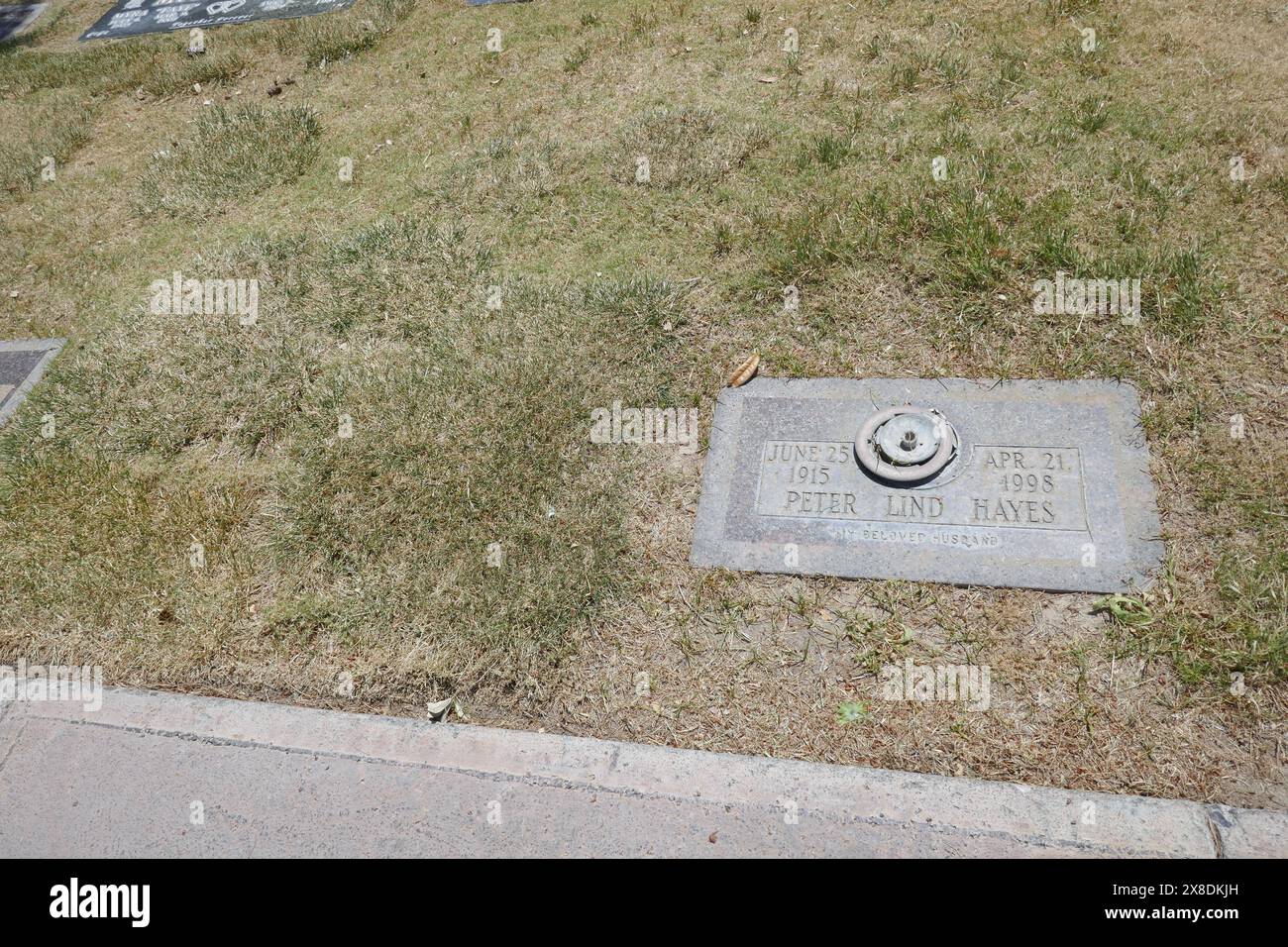 14. Mai 2024 Schauspieler Peter Lind Hayes Grave, Ehefrau der ...