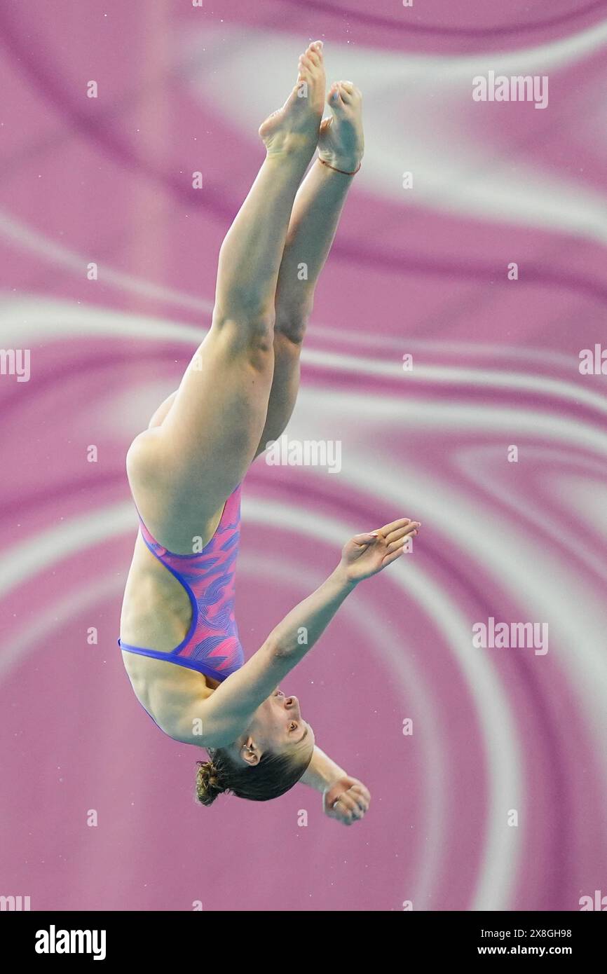 Tilly Brown in Aktion beim 3M Springboard-Finale der Frauen am dritten ...