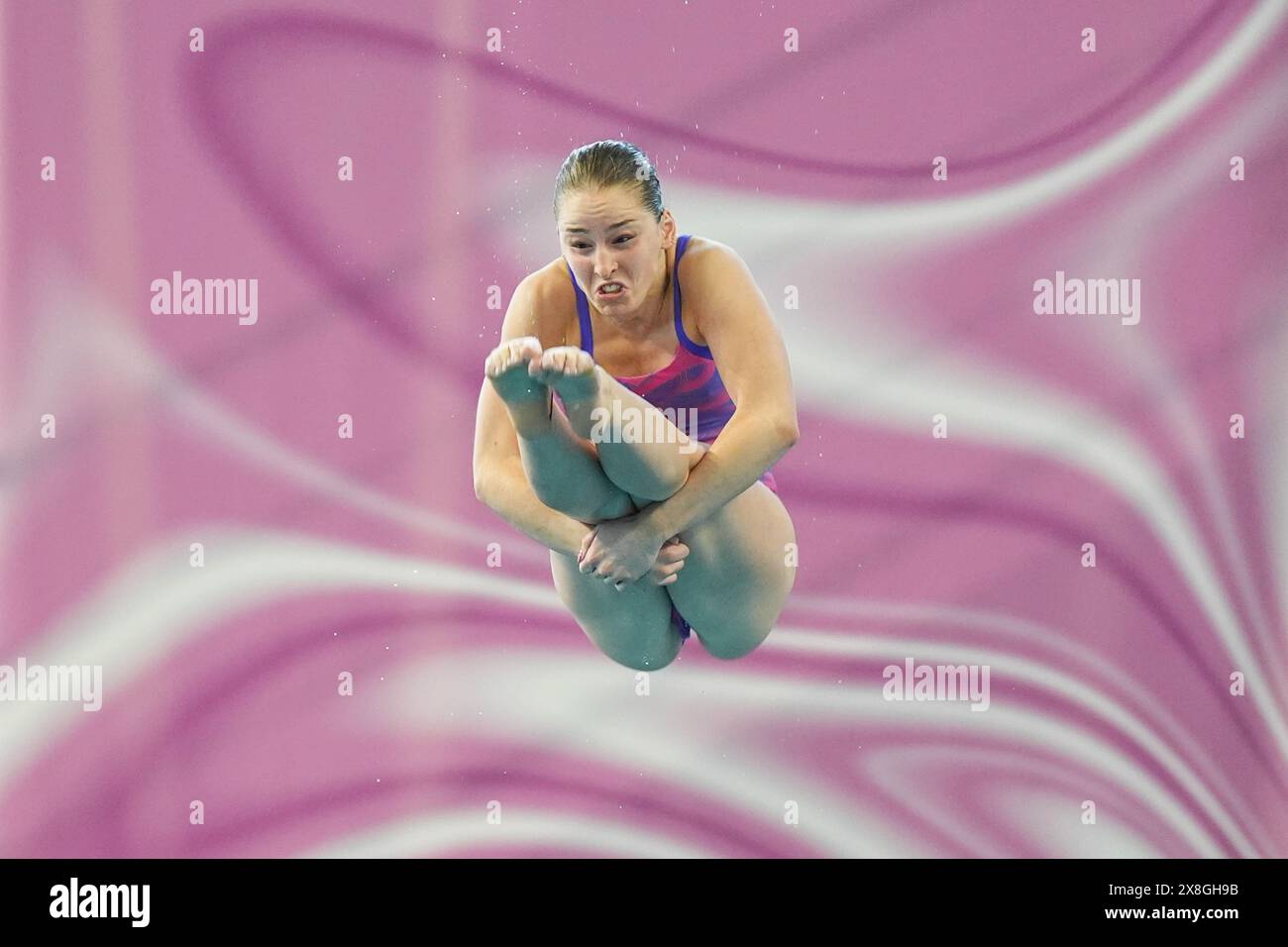 Tilly Brown in Aktion beim 3M Springboard-Finale der Frauen am dritten Tag der Speedo Aquatics ...