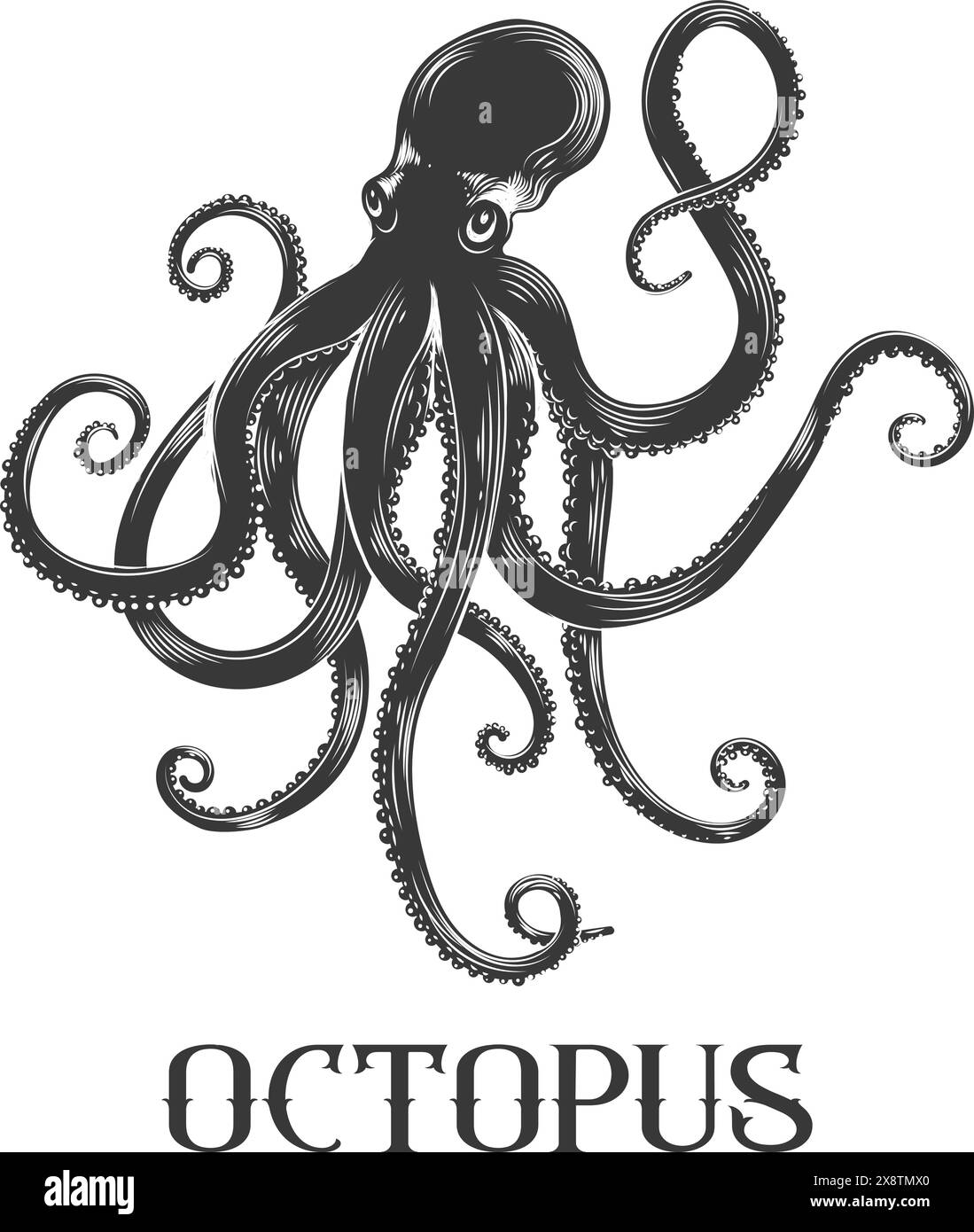 Oktopus schwimmkunst -Fotos und -Bildmaterial in hoher Auflösung – Alamy