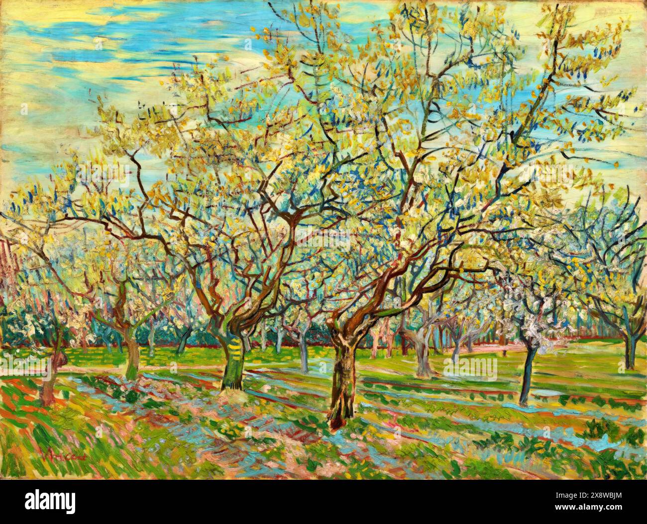 Der weiße obstgarten vincent van gogh Stock-Vektorgrafiken kaufen - Alamy