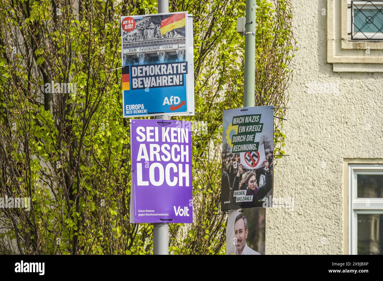 Volt, AfD, die Grünen, Wahlplakate zur Europawahl 2024, Berlin ... Volt, AfD, die Grünen, Wahlplakate zur Europawahl 2024, Berlin ...