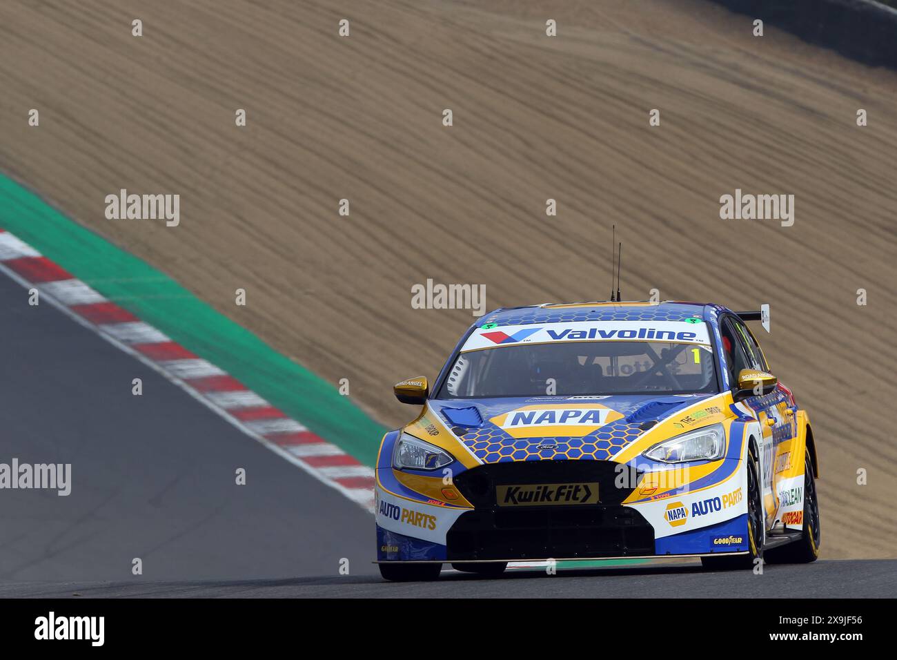 Ashley Sutton – Napa Racing UK – fuhr Ford Focus ST Nummer 1 im Kwik ...