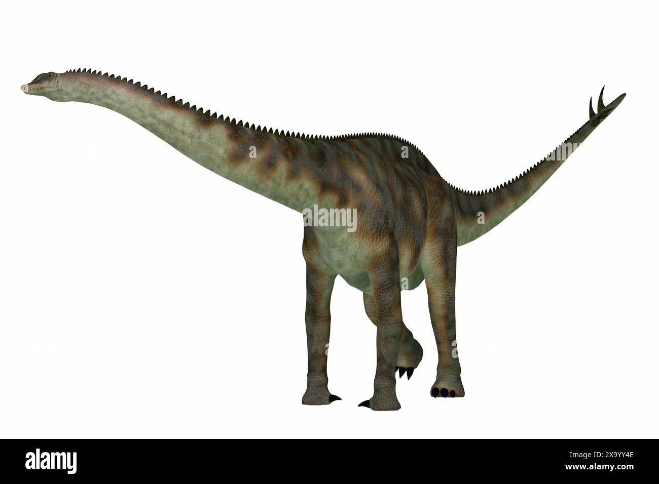 Spinophorosaurus war ein herbivorer Sauropod-Dinosaurier, der in der ...