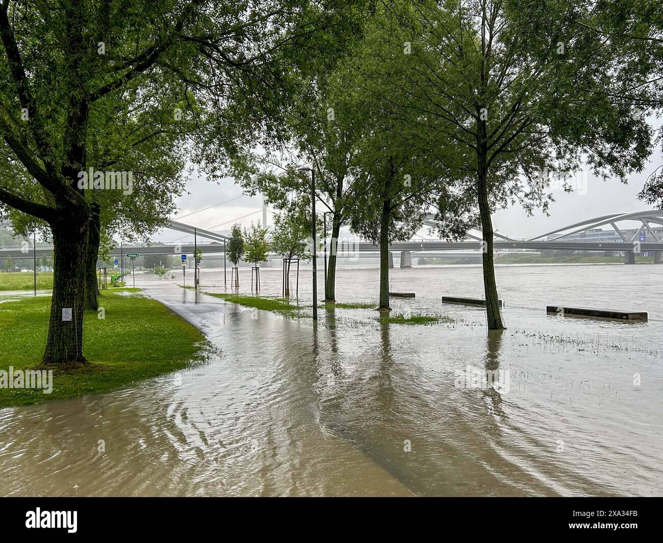 Linz, Urfahr, Hochwasser 04.06.2024, Linz, AUT, Urfahr, Hochwasser, im ...