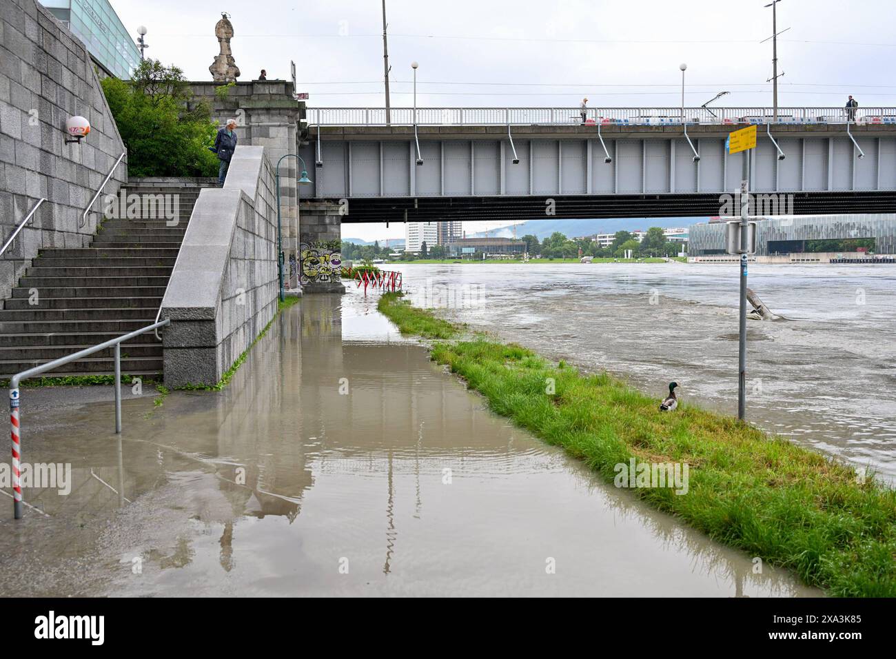 Linz, Urfahr, Hochwasser 04.06.2024, Linz, AUT, Urfahr, Hochwasser, im ...