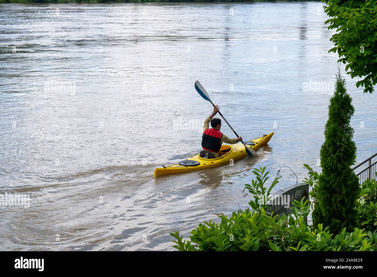 Passau, Deutschland. Juni 2024. Ein Mann paddelt am Ufer des Gasthauses ...