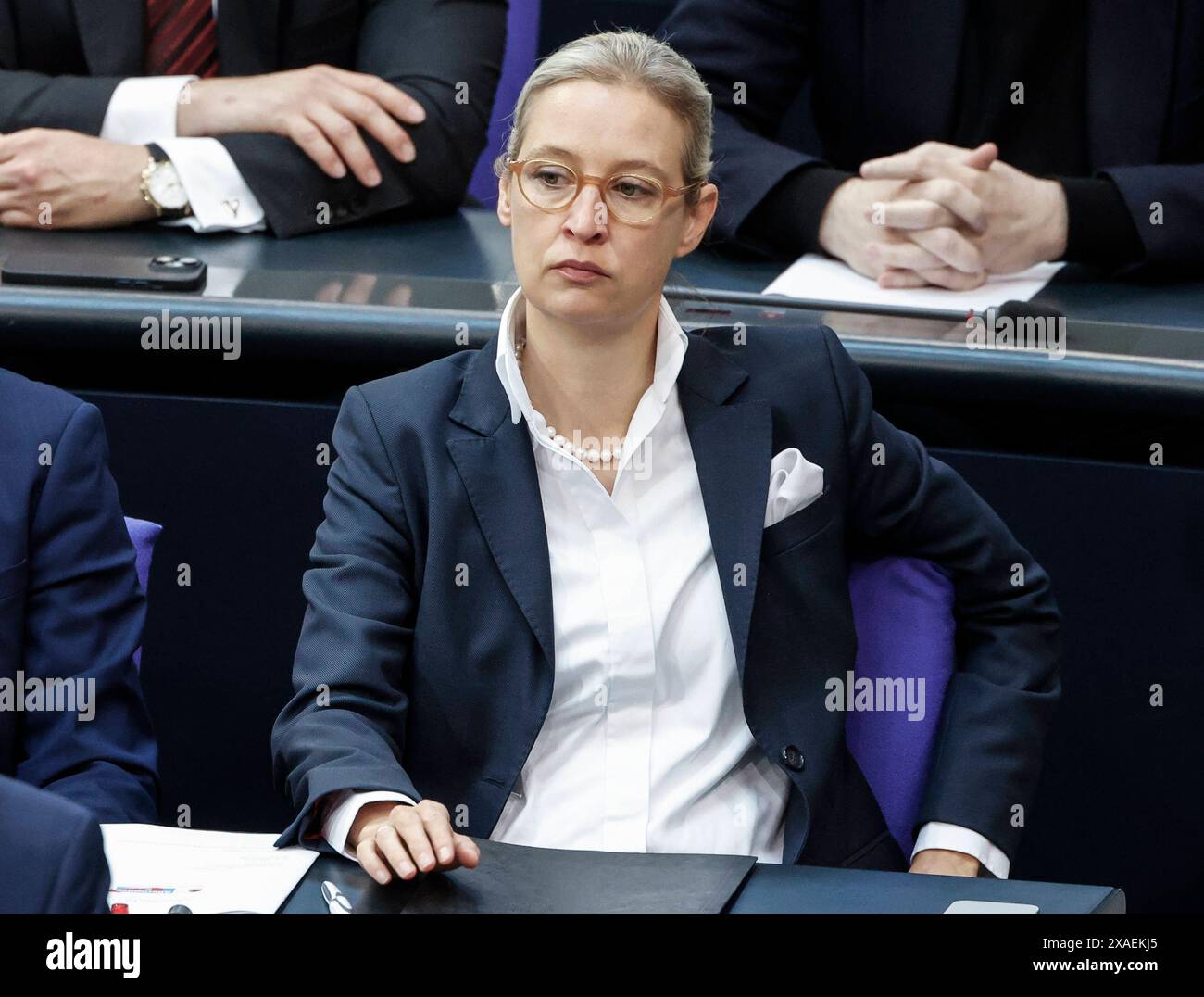Alice Weidel Alice Weidel, Fraktionsvorsitzende der AfD während einer ...