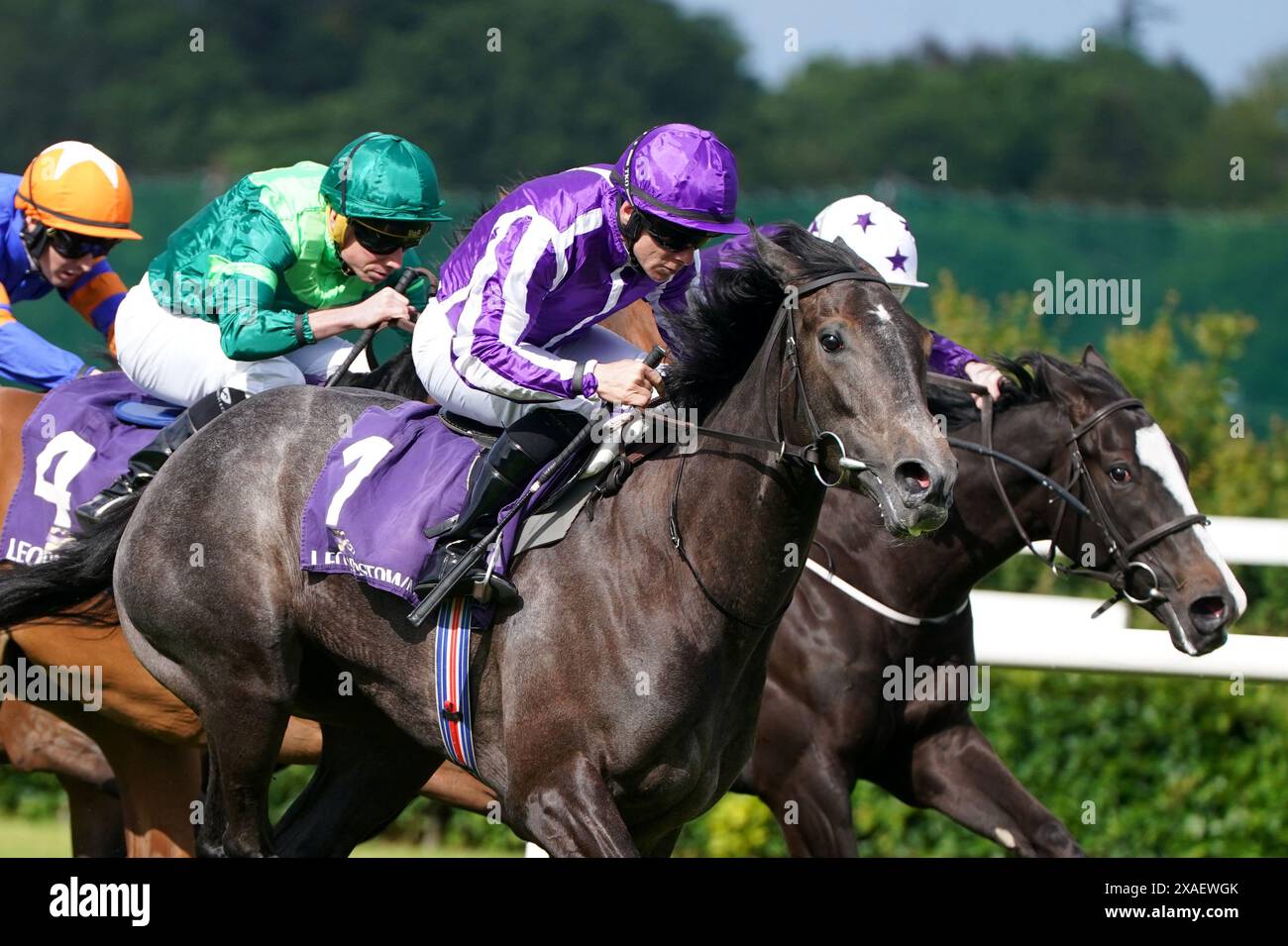 Gute-Nacht-Geschichte, die Wayne Lordan auf dem Weg zum Gewinn der ...