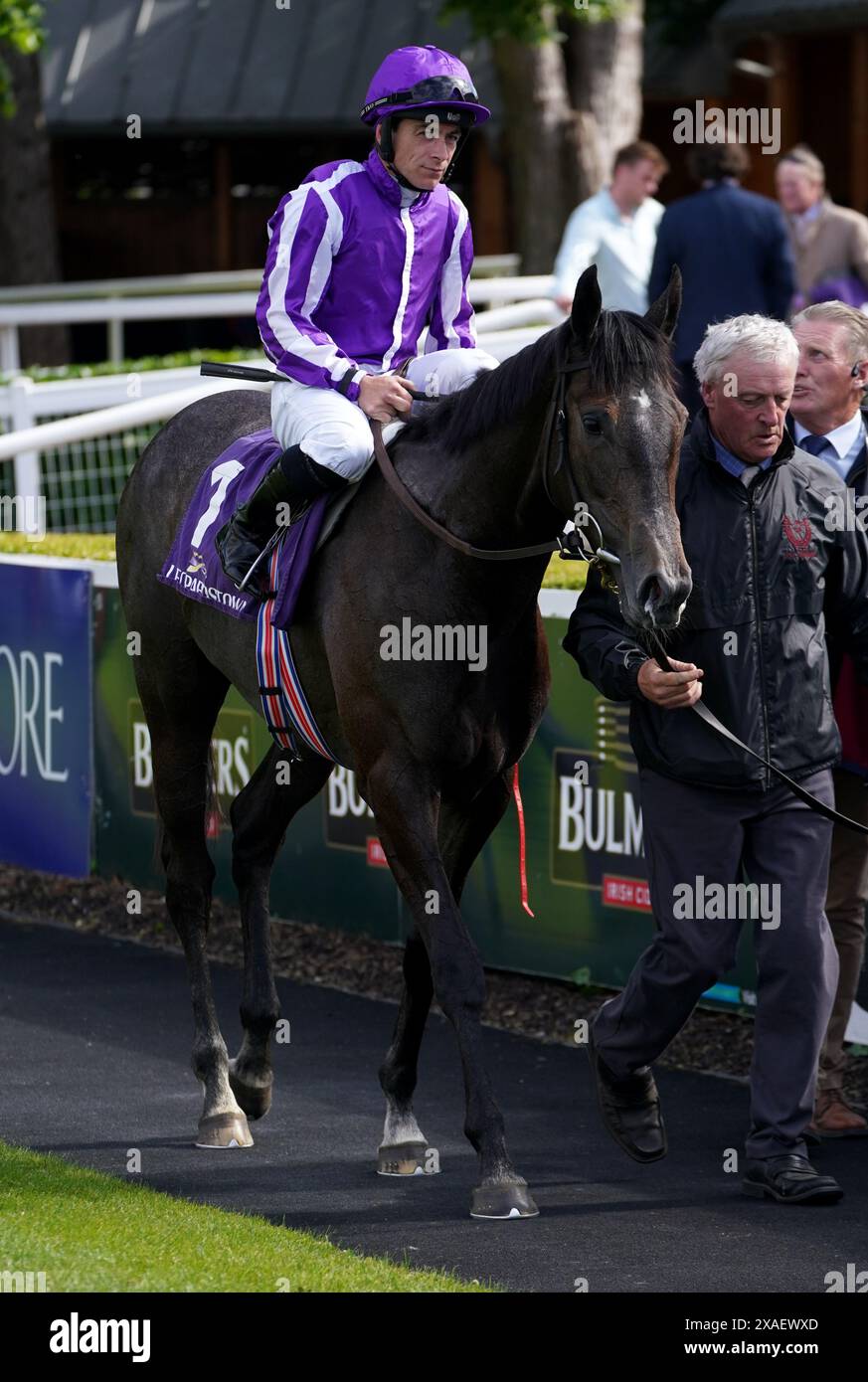Gute-Nacht-Geschichte, die Wayne Lordan nach dem Gewinn der Irish ...