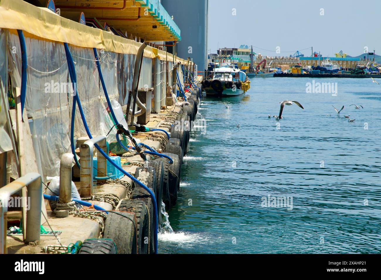Samcheok City, Südkorea - 18. Mai 2024: Außenansicht des Samcheok Port ...