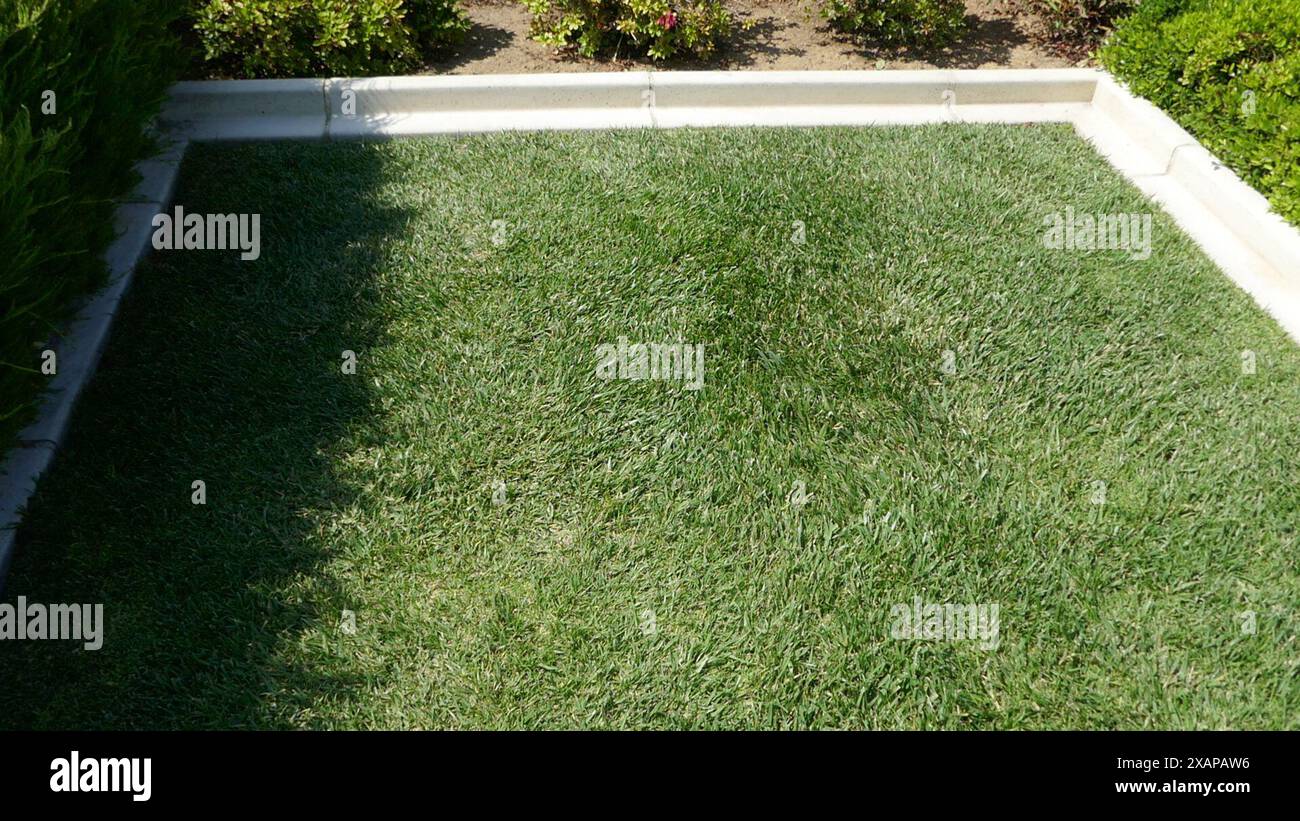 6. Juni 2024 Schauspieler Paul Walker Grave in Court of Liberty ...