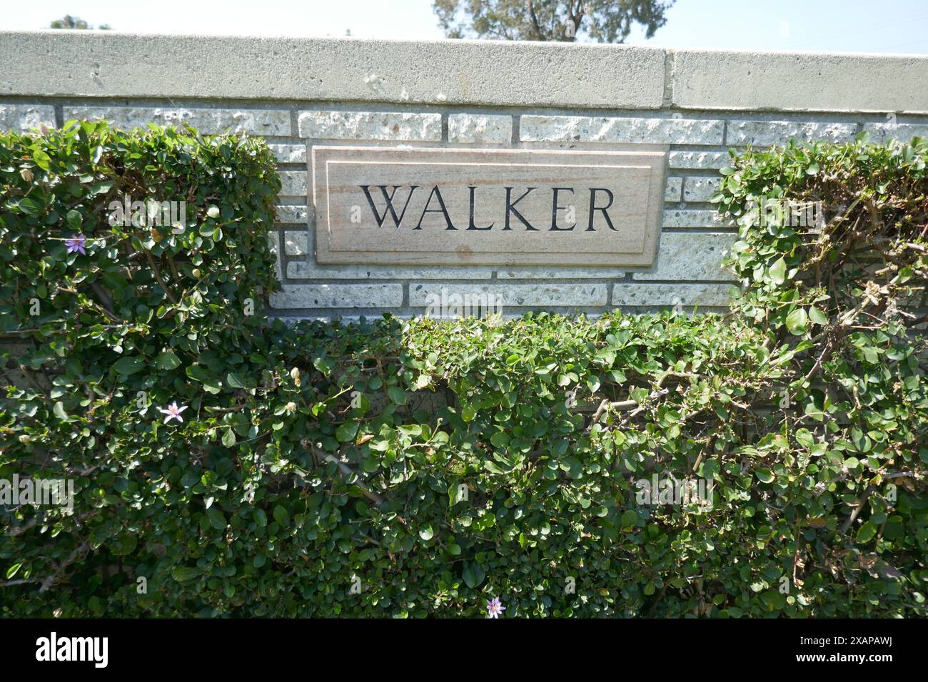 6. Juni 2024 Schauspieler Paul Walker Grave in Court of Liberty, Gardens of Heritage im Forest ...
