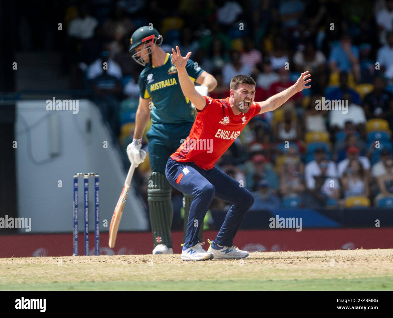 Bridgetown, Barbados. Juni 2024. ICC T20 World Cup 2024 – Australien ...