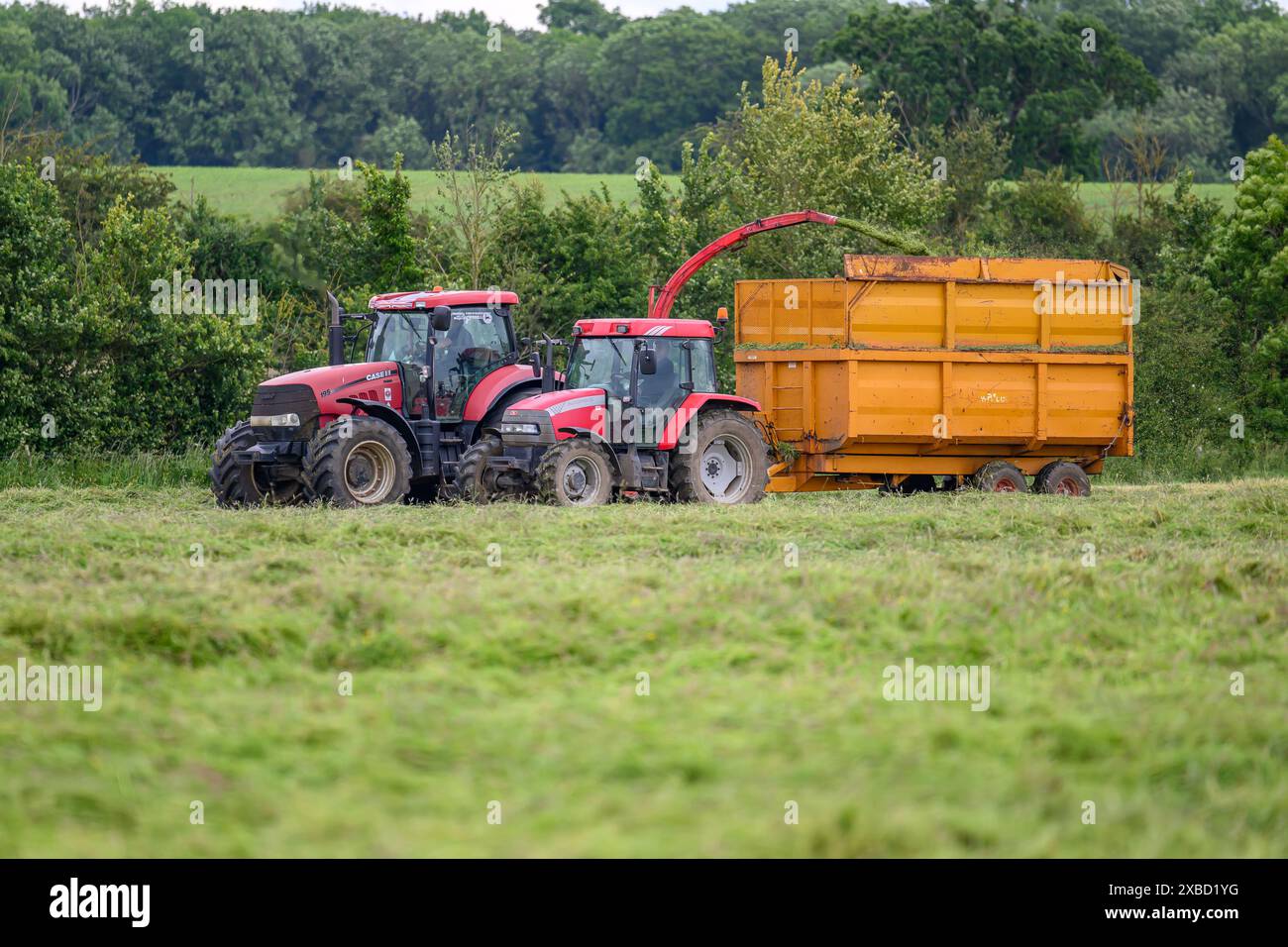 Silage machen silaging -Fotos und -Bildmaterial in hoher Auflösung – Alamy