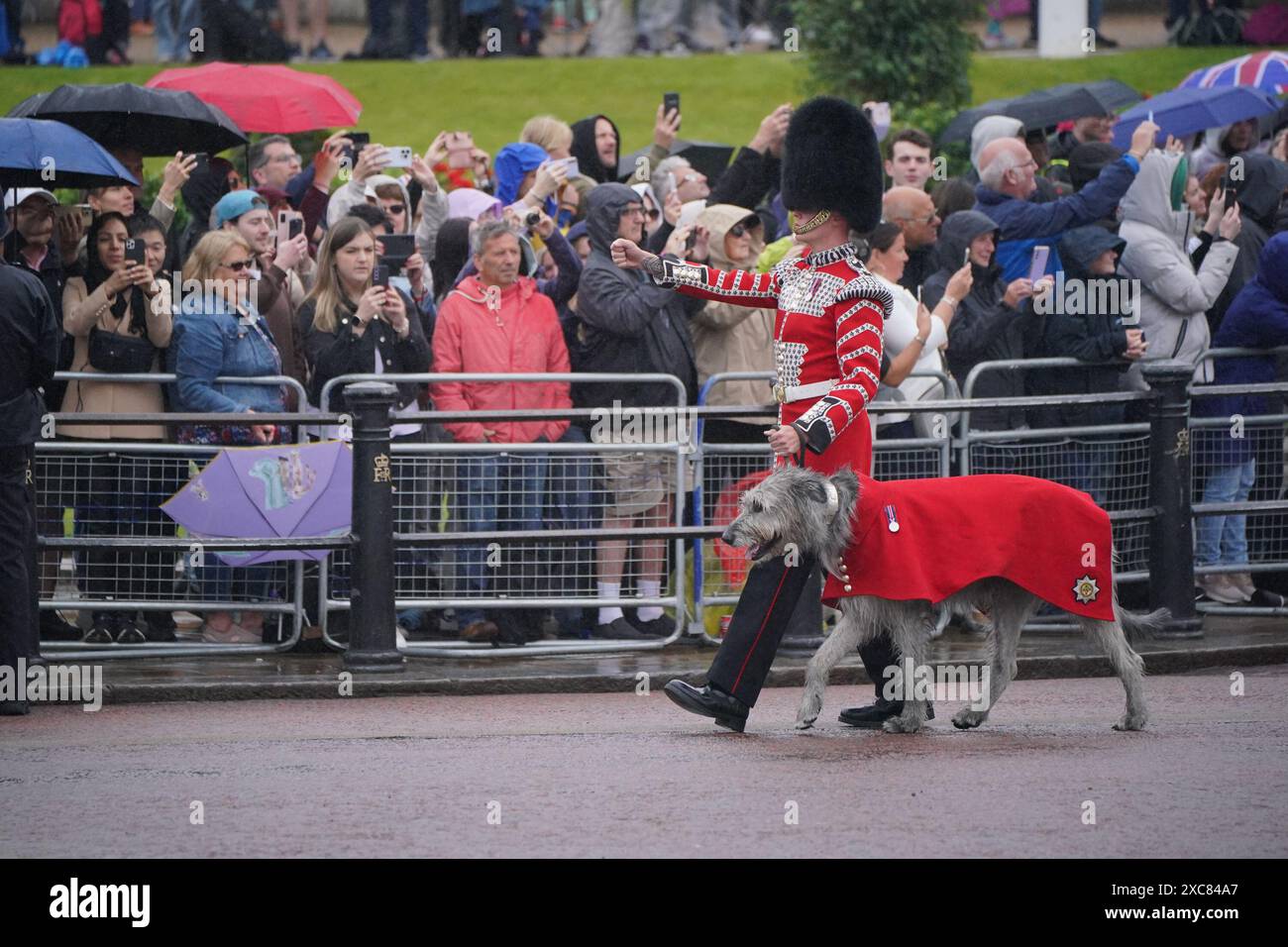 Ein Mitglied der Irish Guards mit seinem Maskottchen Irish Wolfhound ...