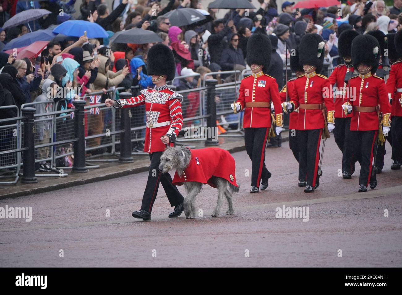 Ein Mitglied der Irish Guards mit ihrem Maskottchen Irish Wolfhound ...