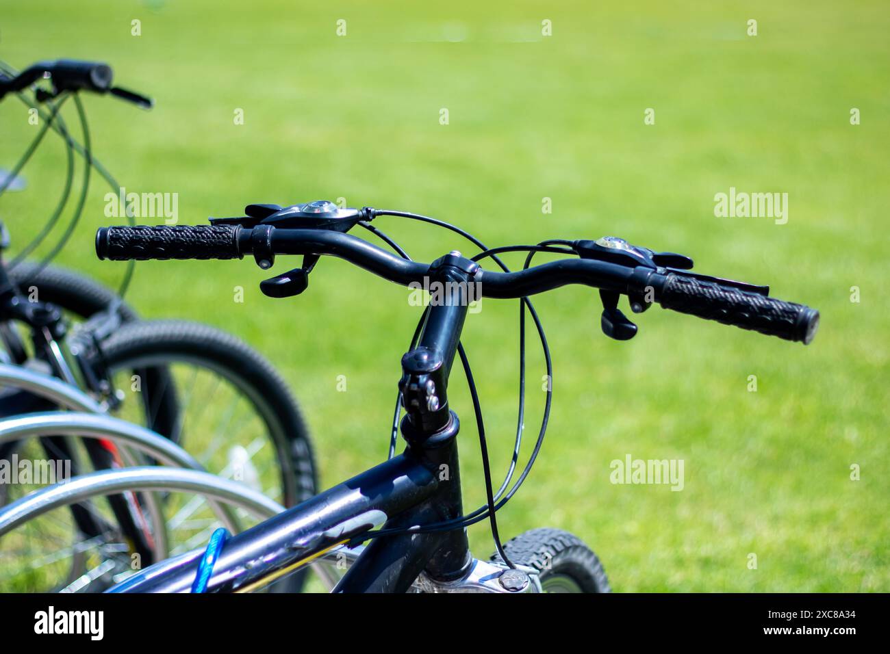 Eine Reihe von Fahrrädern parkt auf einem grasbewachsenen Feld und ...