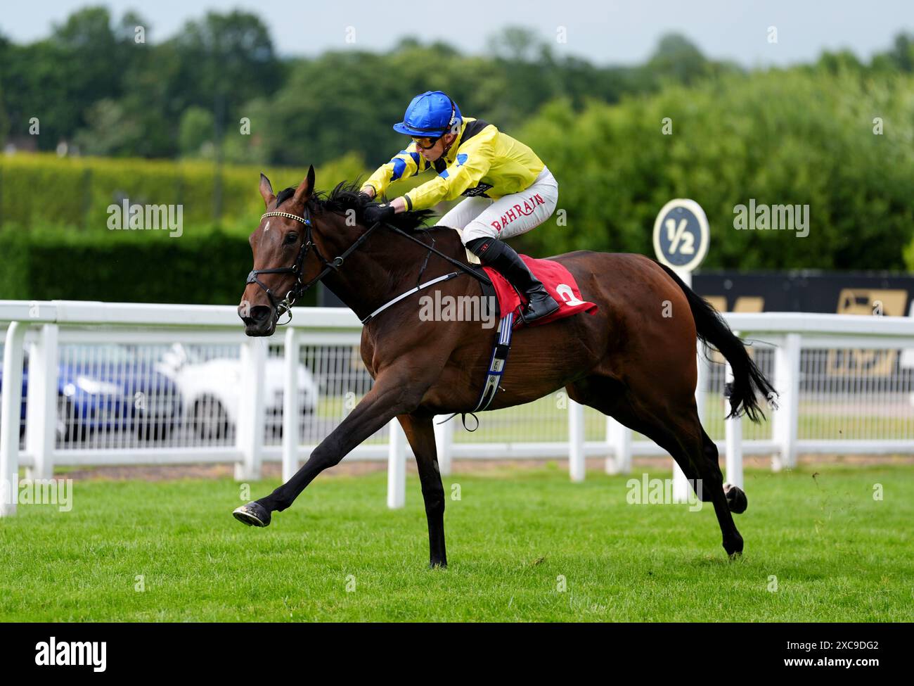 Coco Royale wurde von Jockey Tom Marquand auf dem Weg zum ...
