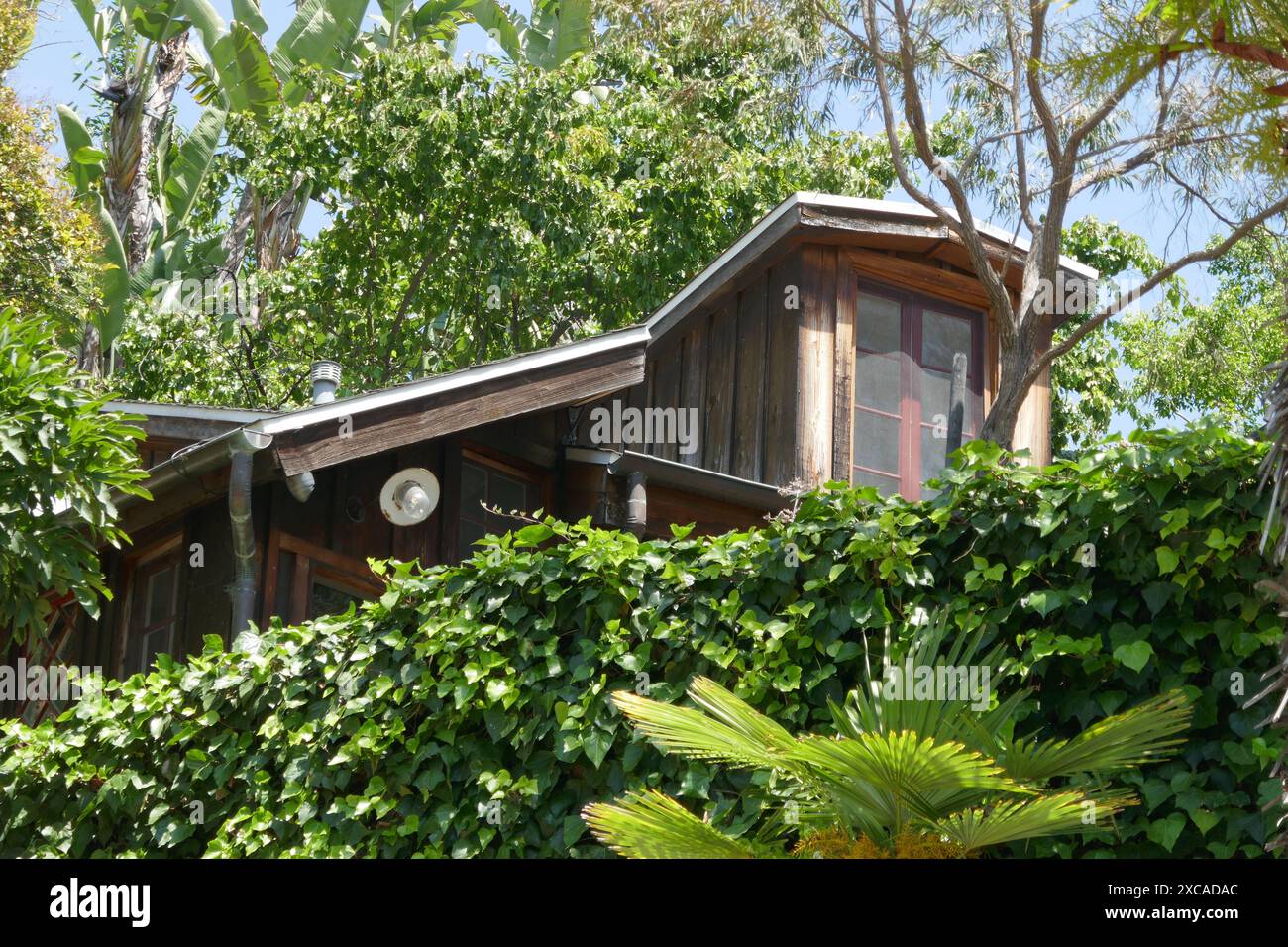 Los Angeles, Kalifornien, USA 14. Juni 2024 Singer Orville Peck (Daniel ...