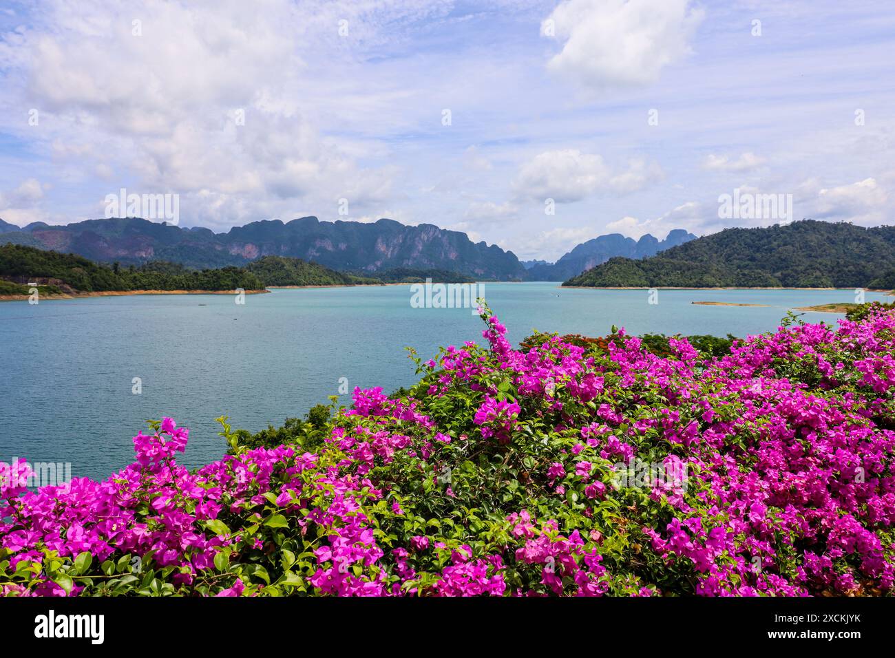 Blick durch Bougainvillea Blumen zum Cheo Lan See in der Provinz Surat ...