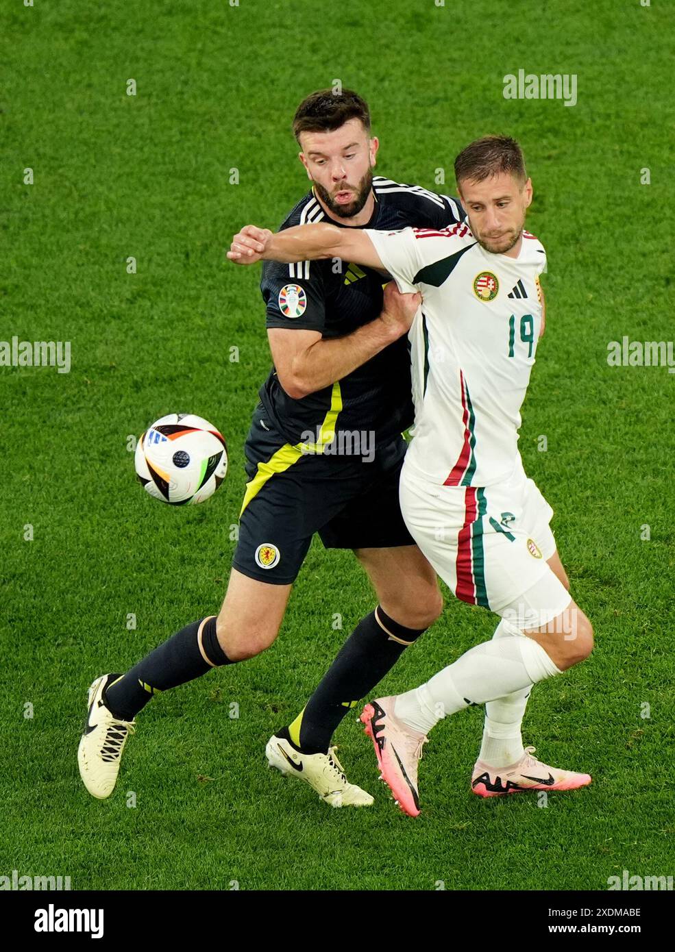 Der schottische Grant Hanley (links) und der ungarische Barnabas Varga ...