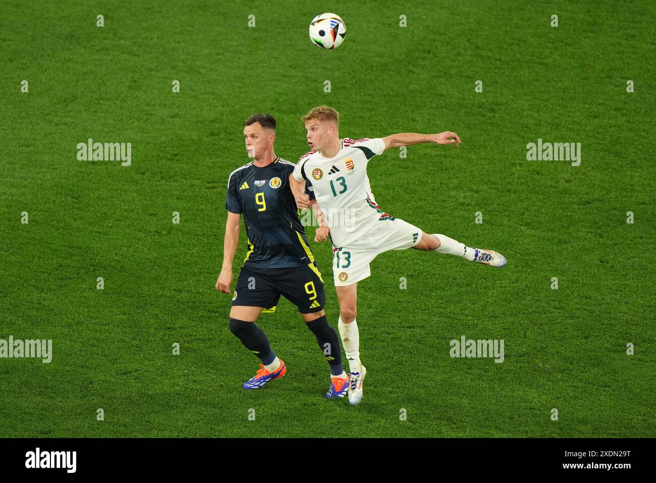 Der schottische Lawrence Shankland (links) und der ungarische Andras ...