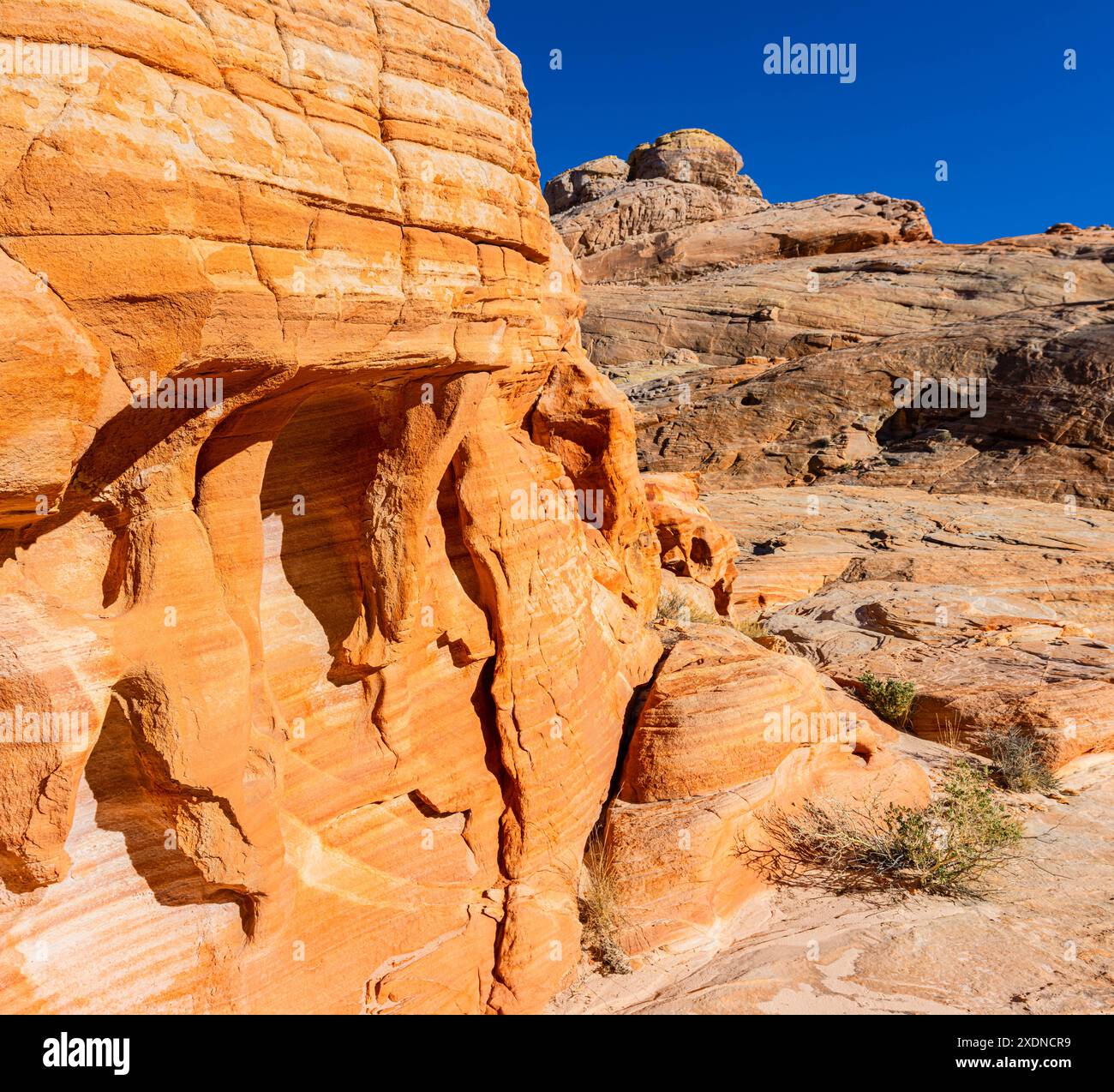 Kleine Bögen und Höhlen auf Sandsteinwänden in der Nähe des Upper Fire ...