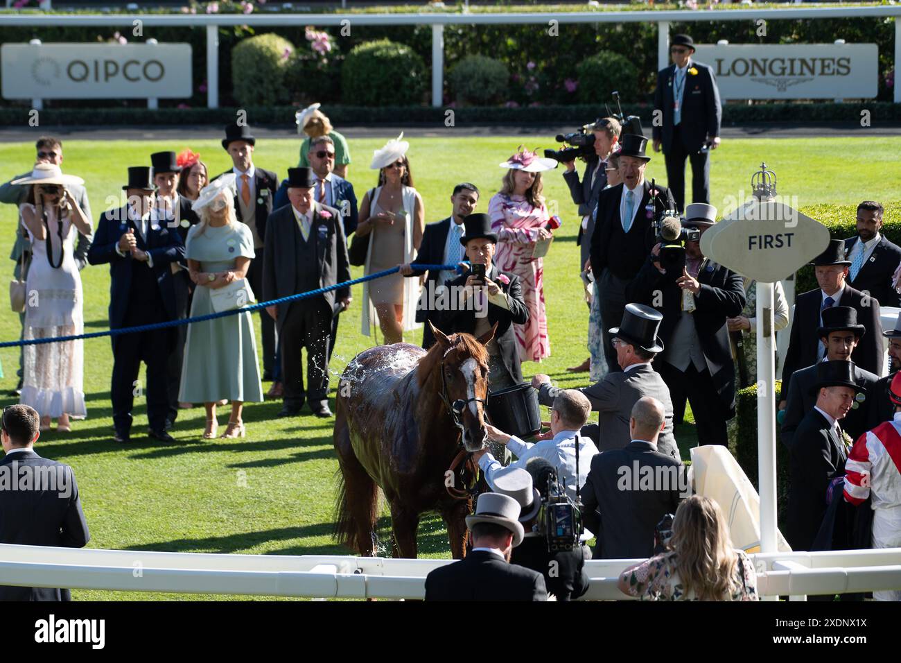 Ascot, Großbritannien. Juni 2024. Pferdehand of God, geritten von ...