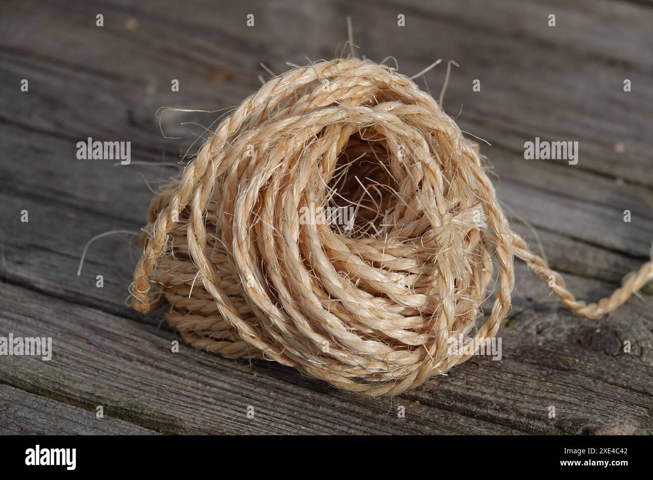 Rope of sisal plant -Fotos und -Bildmaterial in hoher Auflösung – Alamy