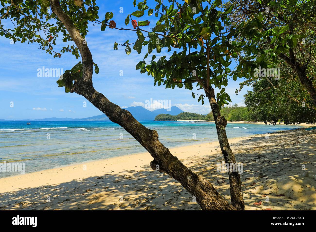 Blick vom Pulisan Beach zum Paal Beach und Landzunge, mit Tangkoko Berg ...