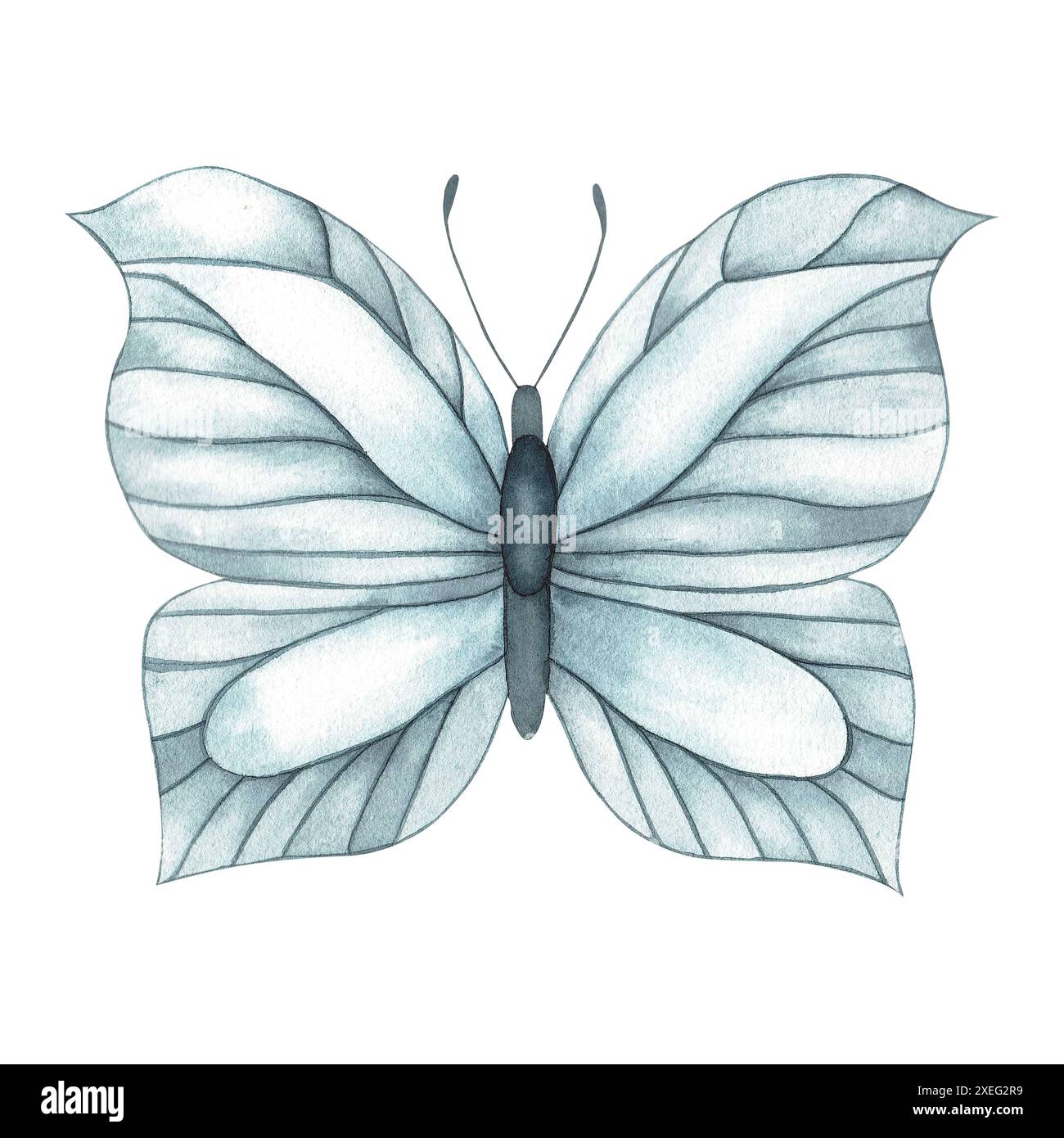 Ein Set zum Thema Schmetterlinge und Insekten, gemalt in Aquarell auf ...