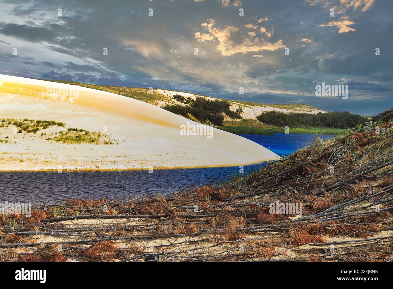 Moliets, Les Landes, Frankreich, 18.-22. Juni 2024 Atmosphäre in und um ...