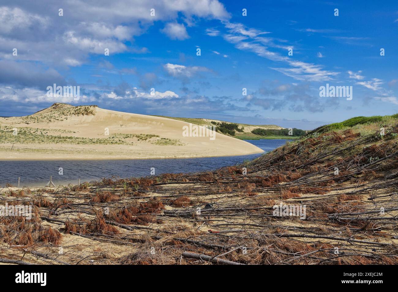 Moliets, Les Landes, Frankreich, 18.-22. Juni 2024 Atmosphäre in und um ...
