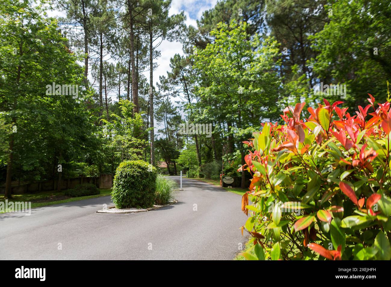 Moliets, Les Landes, Frankreich, 18.-22. Juni 2024 Eintritt in die ...