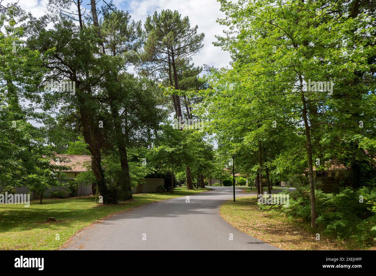 Moliets, Les Landes, Frankreich, 18.-22. Juni 2024 Eintritt in die ...