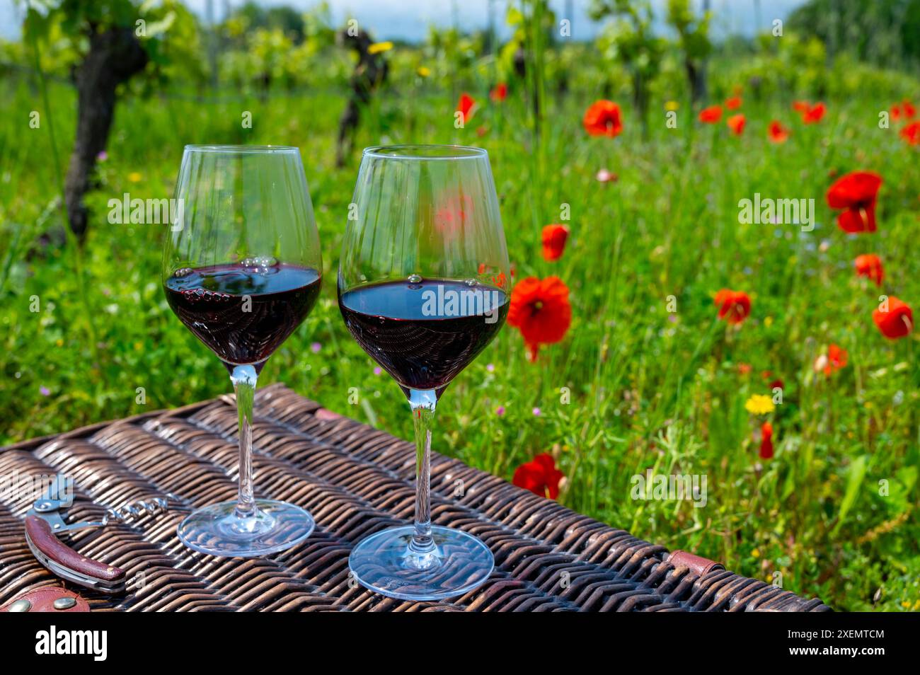 Picknick auf einem alten Weinberg mit roten Mohnblumen und grünem Gras ...