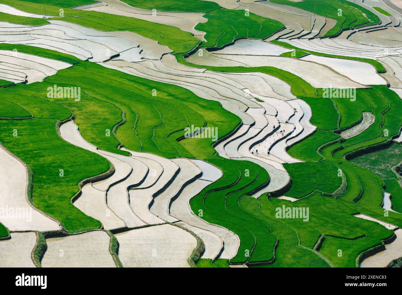 Cao pha -Fotos und -Bildmaterial in hoher Auflösung – Alamy