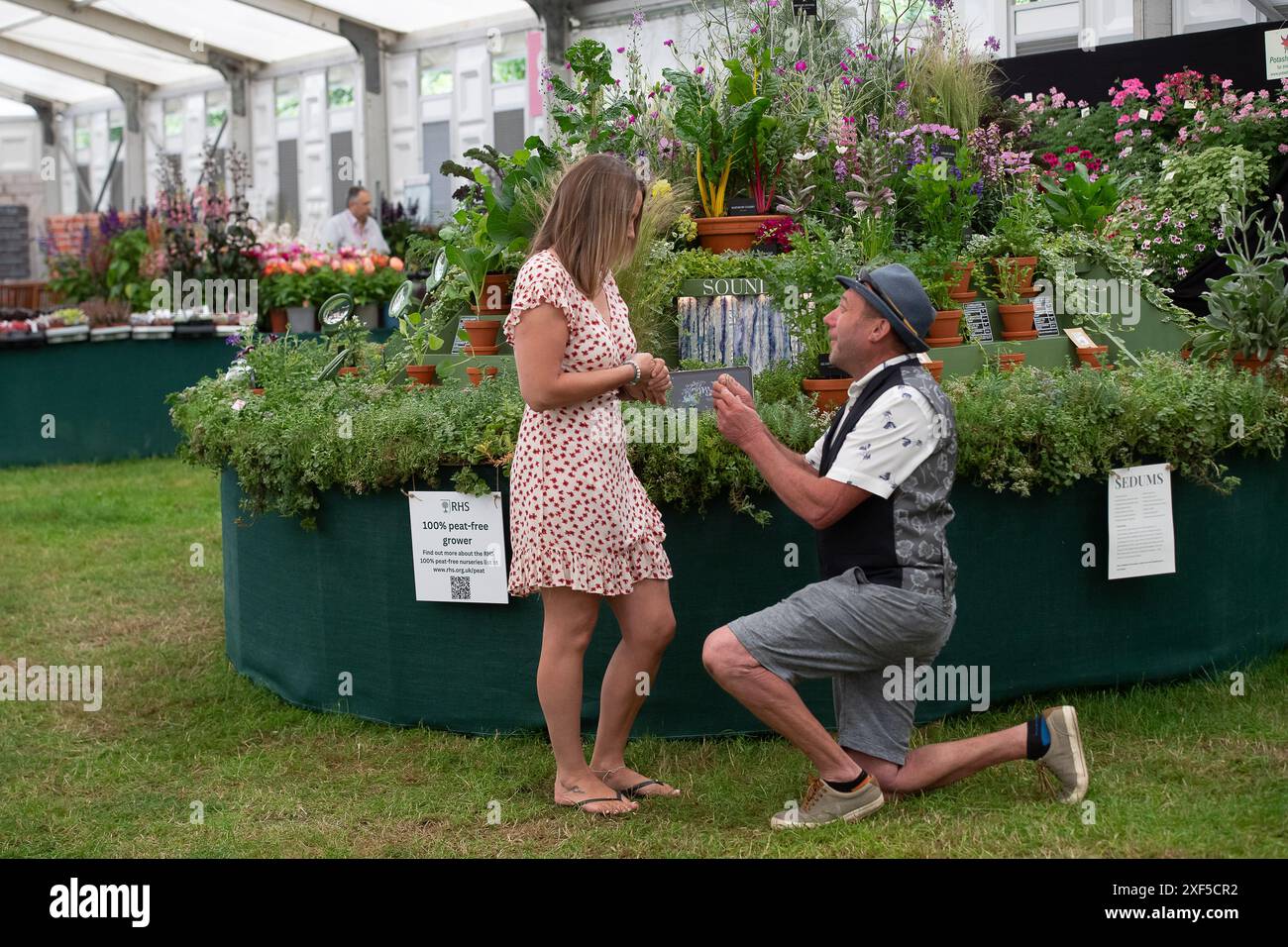 East Molesey, Großbritannien. Juli 2024. Es war ein ganz besonderer Tag ...