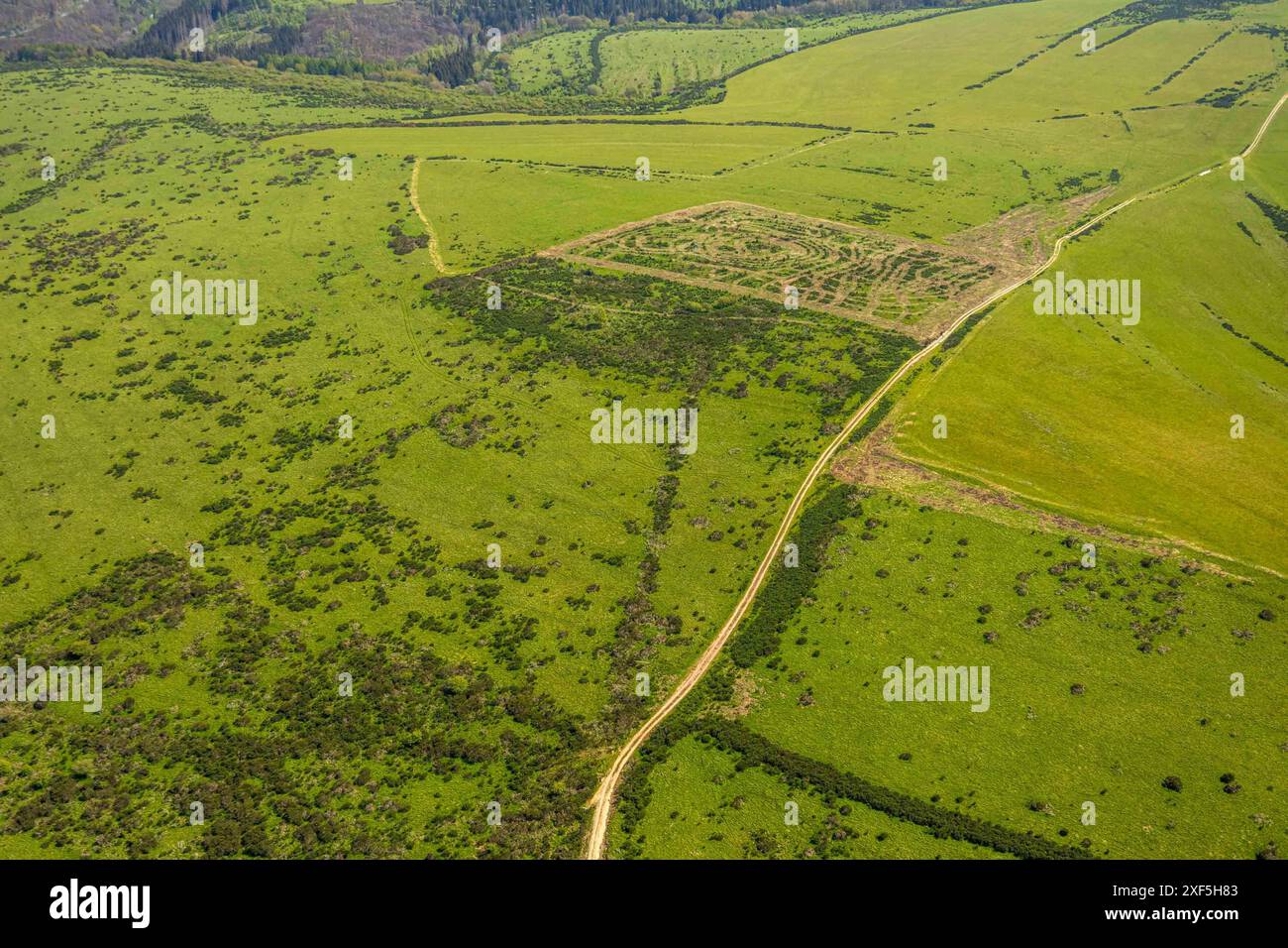 Aus der Vogelperspektive, Waldgebiet und Naturschutzgebiet Dreiborner ...