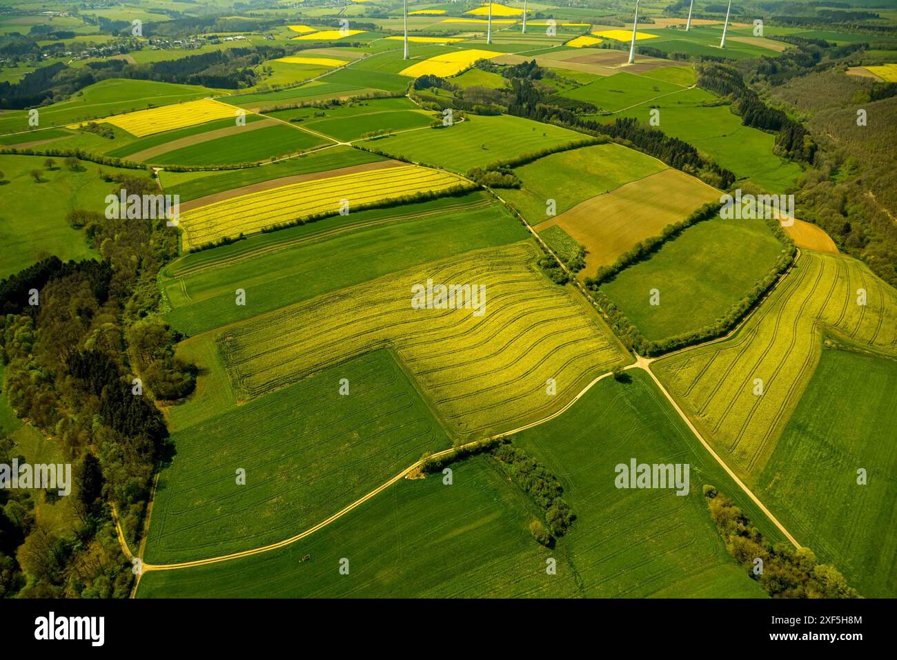Luftaufnahme, Waldgebiet und Naturschutzgebiet Dreiborner Hochebene NSG ...