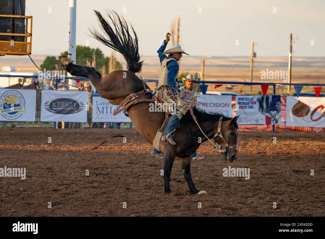 Profi-Rodeo-Cowboy Garrett steigen Sie in einem Rodeo in Utah in den ...