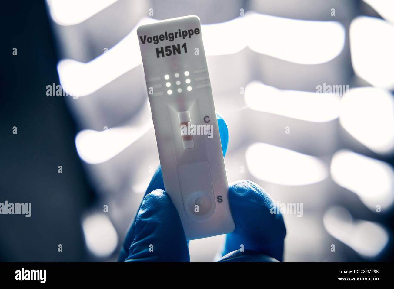 Deutschland - 02. Juli 2024: Das Bild zeigt eine Hand in einem blauen ...