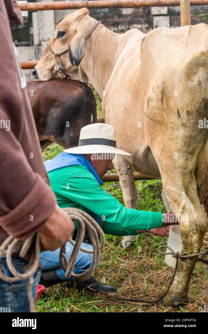 Mogotes, Santander, Kolumbien, 28. Juni 2024, ein Bauer mit weißem Hut ...